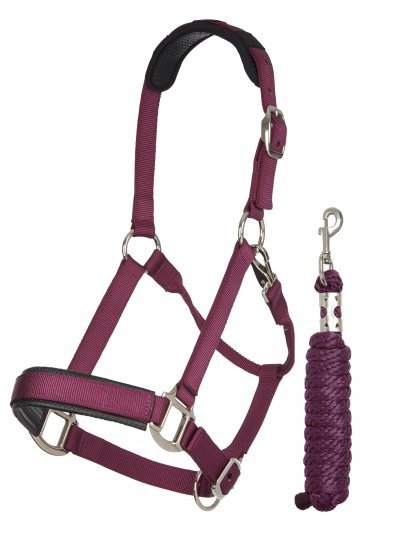 Halters, Lead Ropes | Running Hard Products – Tagged "Cast Ring"