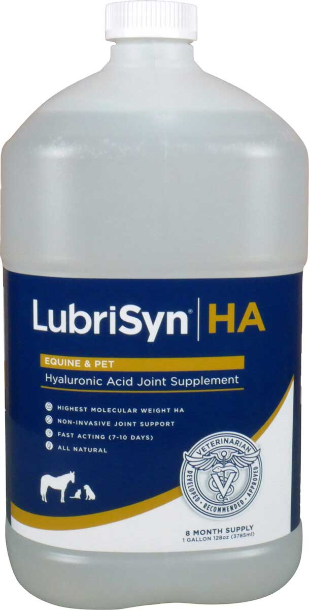 LubriSyn HA Hyaluronic Acid Horse & Pet Joint Supplement – Running Hard ...